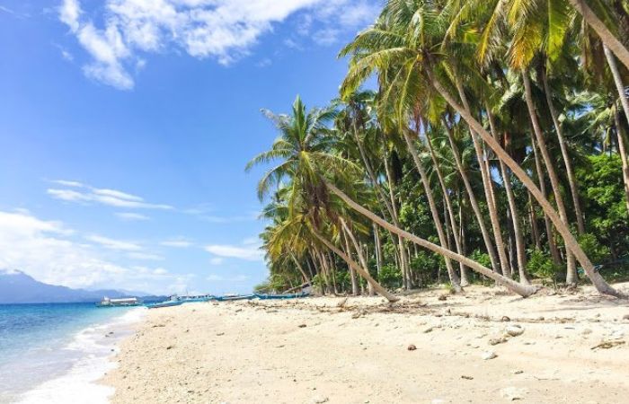 20 Best Beach Resort in Batangas With Swimming Pool