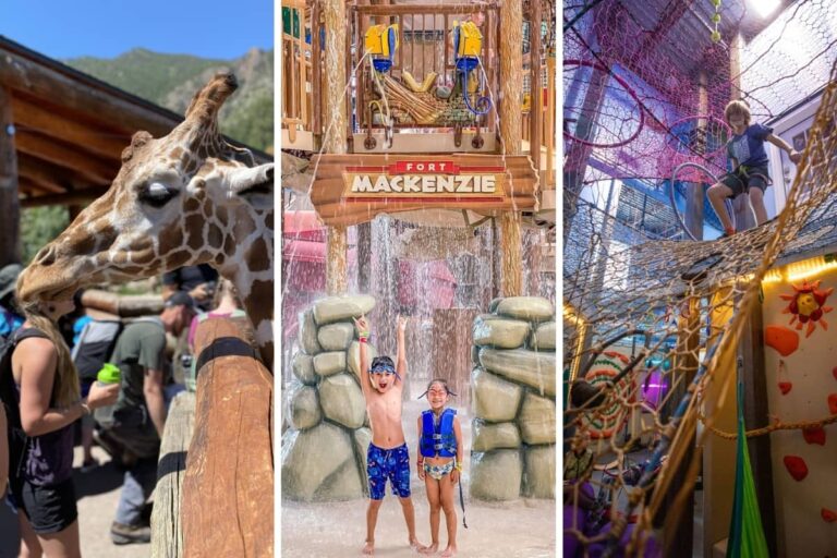 30 Best Things to Do in Colorado Springs with Kids