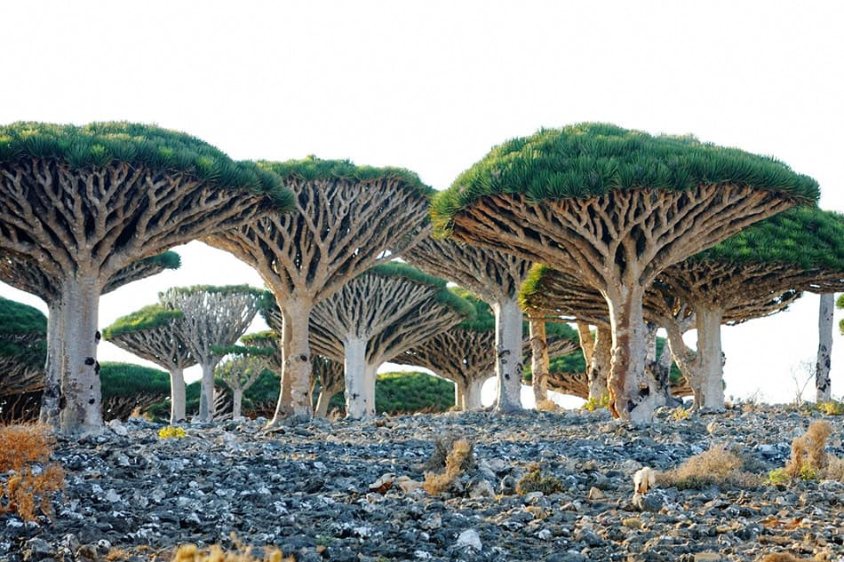 25 Most Incredible Places in the World That Look Unreal But Exist!