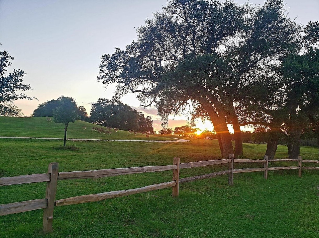 11 Best All-Inclusive Resorts in Texas For Couples and Families