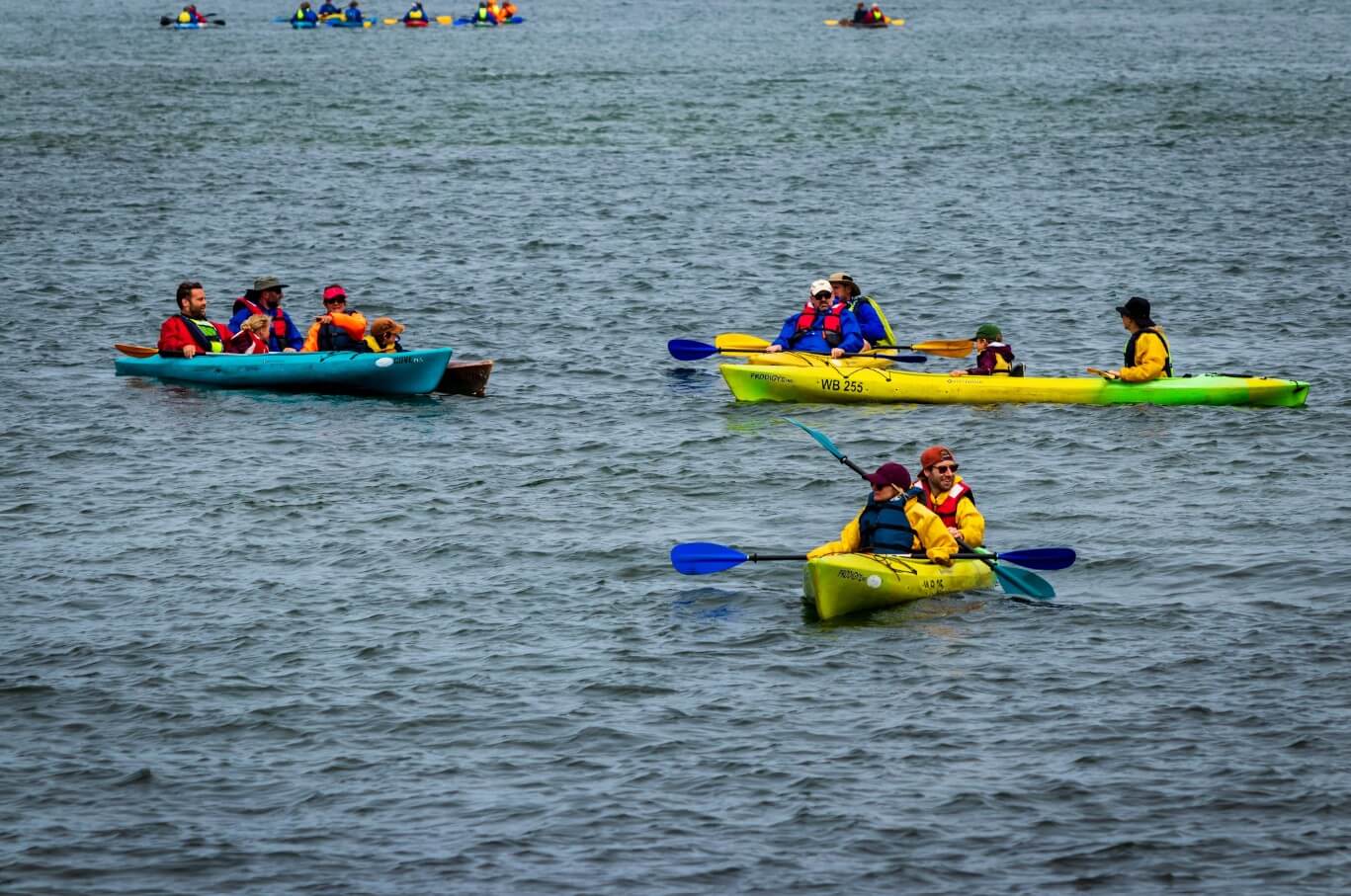 19 Things to Do in Tybee Island GA for the Perfect Beach Vacation