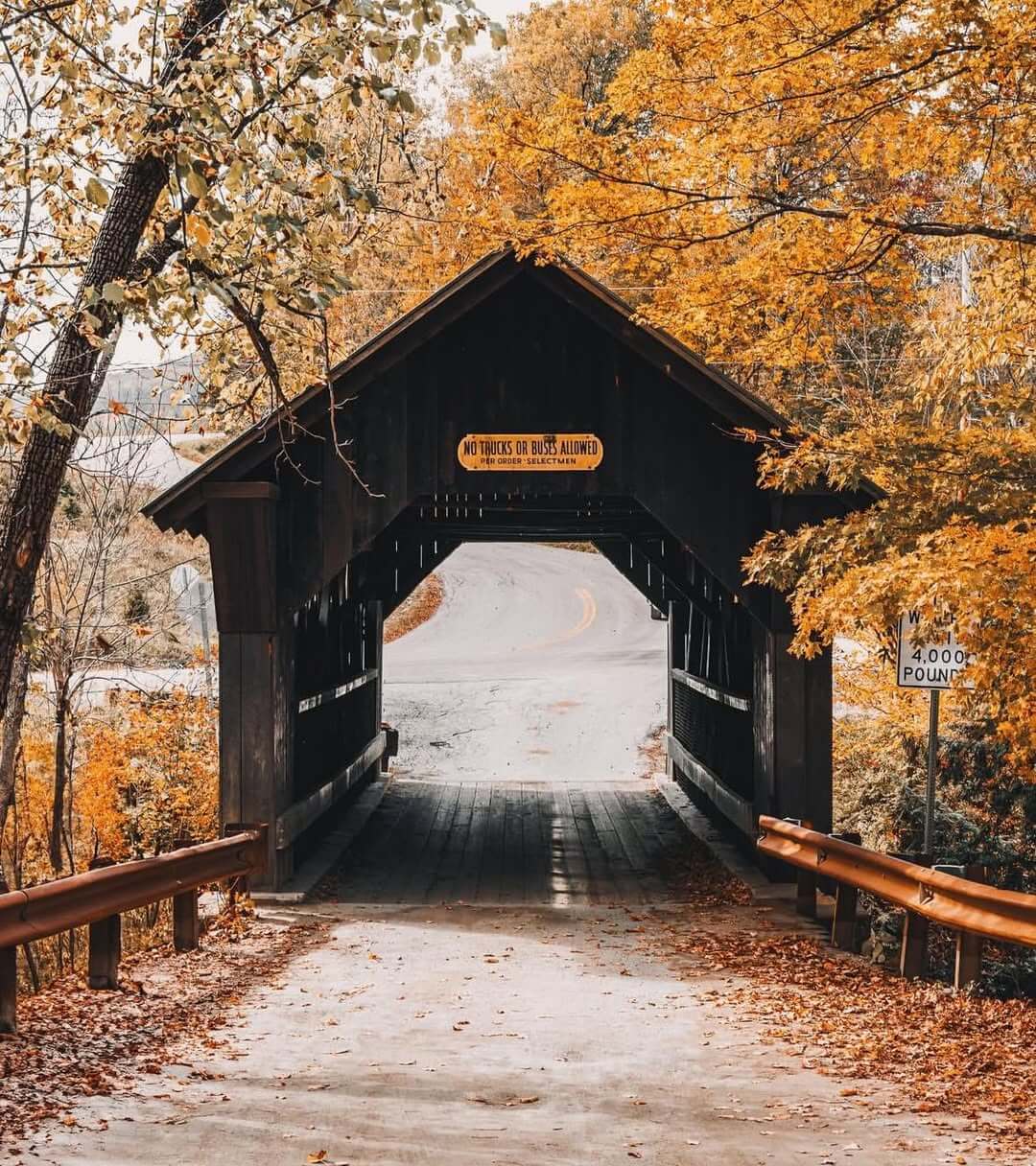21 Best Places to See Fall Foliage in Vermont for Stunning Autumn Views