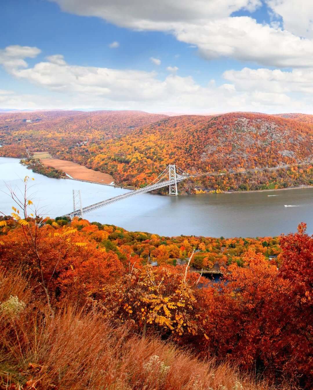 Top 5 Scenic New England Fall Foliage Tours to Book This Autumn