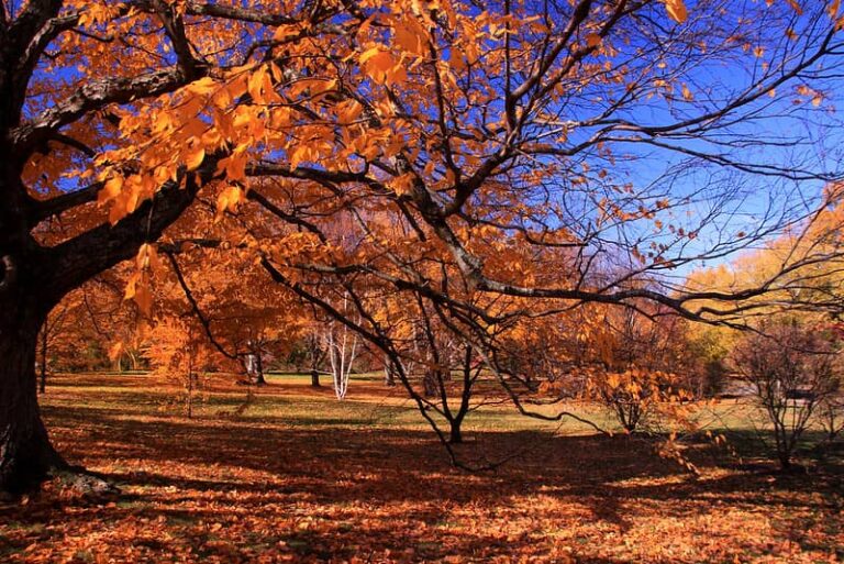 9 Awesome Fall Day Trips from Boston, Massachusetts