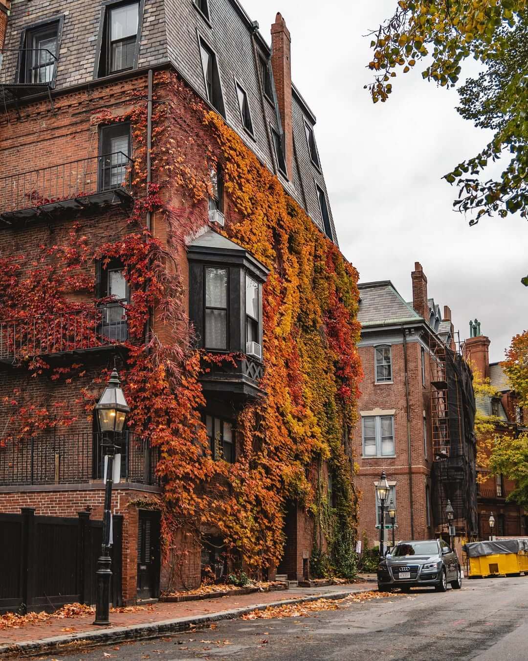 31 Boston Things to Do in Fall for a Perfect Autumn Weekend