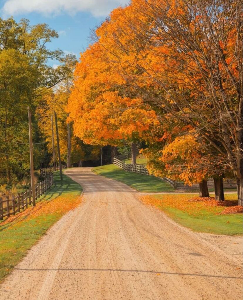 The Perfect Connecticut Day Trip Itinerary for Fall Adventures