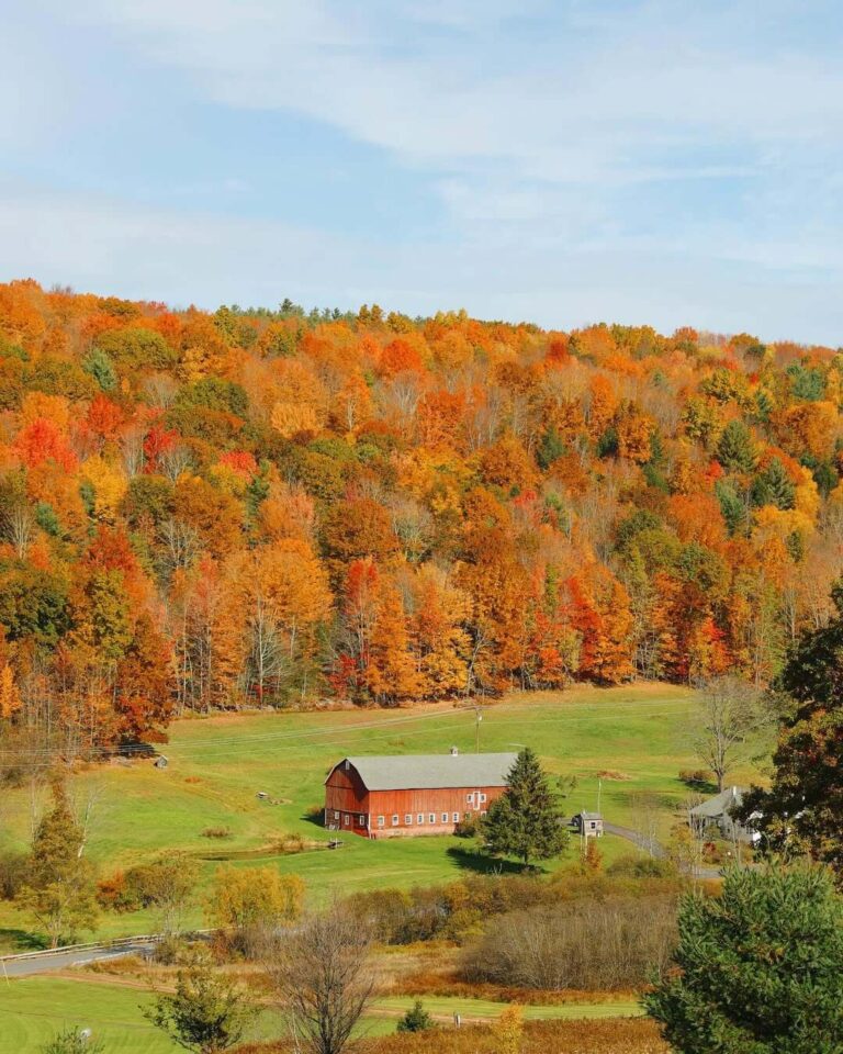 15 Scenic Trips to Enjoy Fall Foliage in New York State