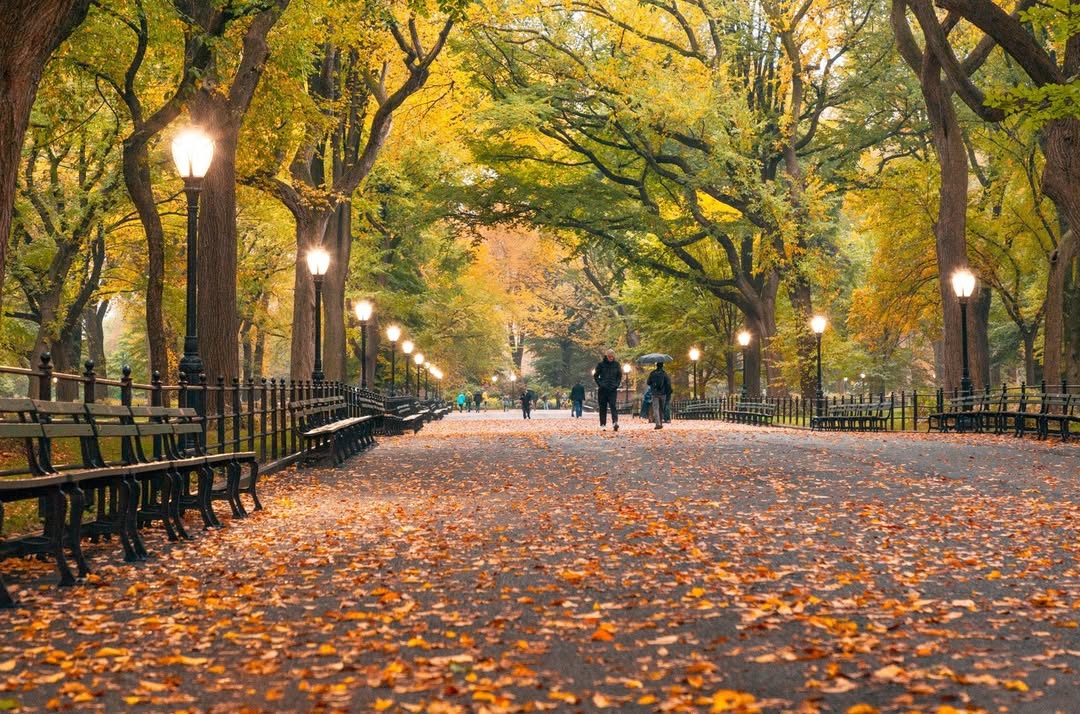 15 Scenic Trips to Enjoy Fall Foliage in New York State