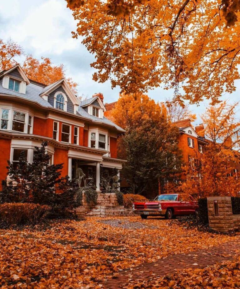 13 Best Places to See Fall Foliage in Pennsylvania Before It’s Gone