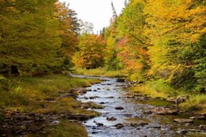 Detailed Route 100 Vermont Itinerary