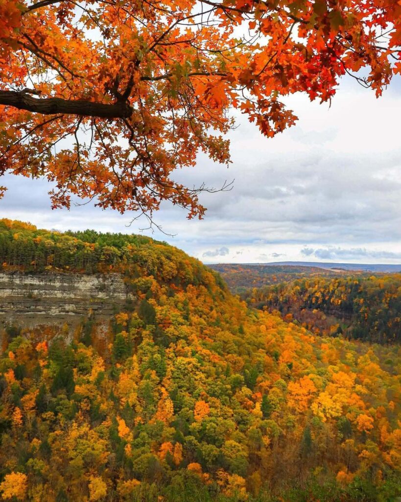 Epic Guide to Letchworth State Park Fall Foliage Season