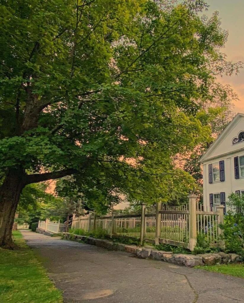 13 Picture-Perfect Spots to See Fall Foliage in Connecticut