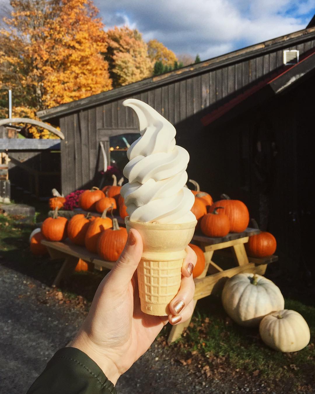 Perfect Stowe Vermont Fall Trip: Your 3-Day Itinerary