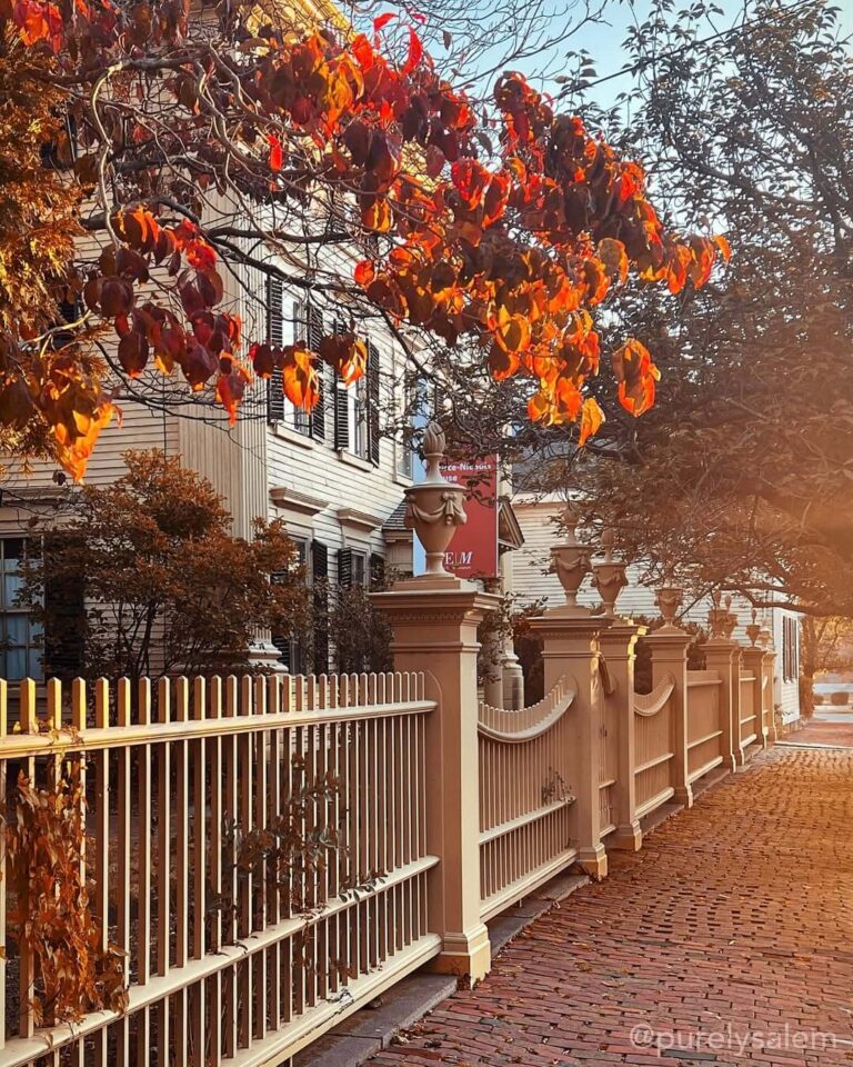 31 Boston Things to Do in Fall for a Perfect Autumn Weekend