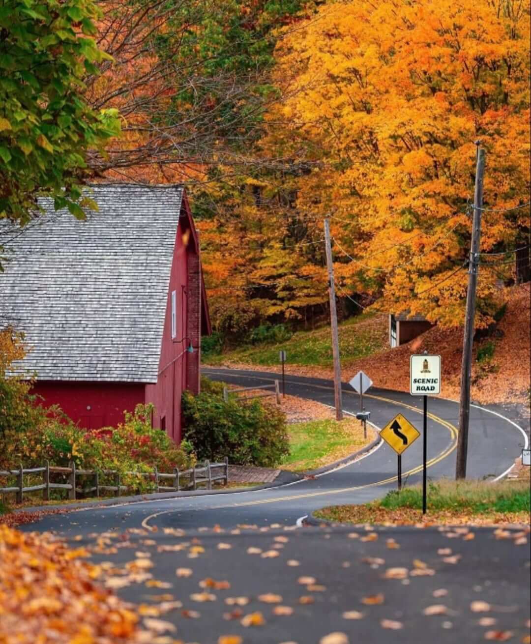 13 Picture-Perfect Spots to See Fall Foliage in Connecticut