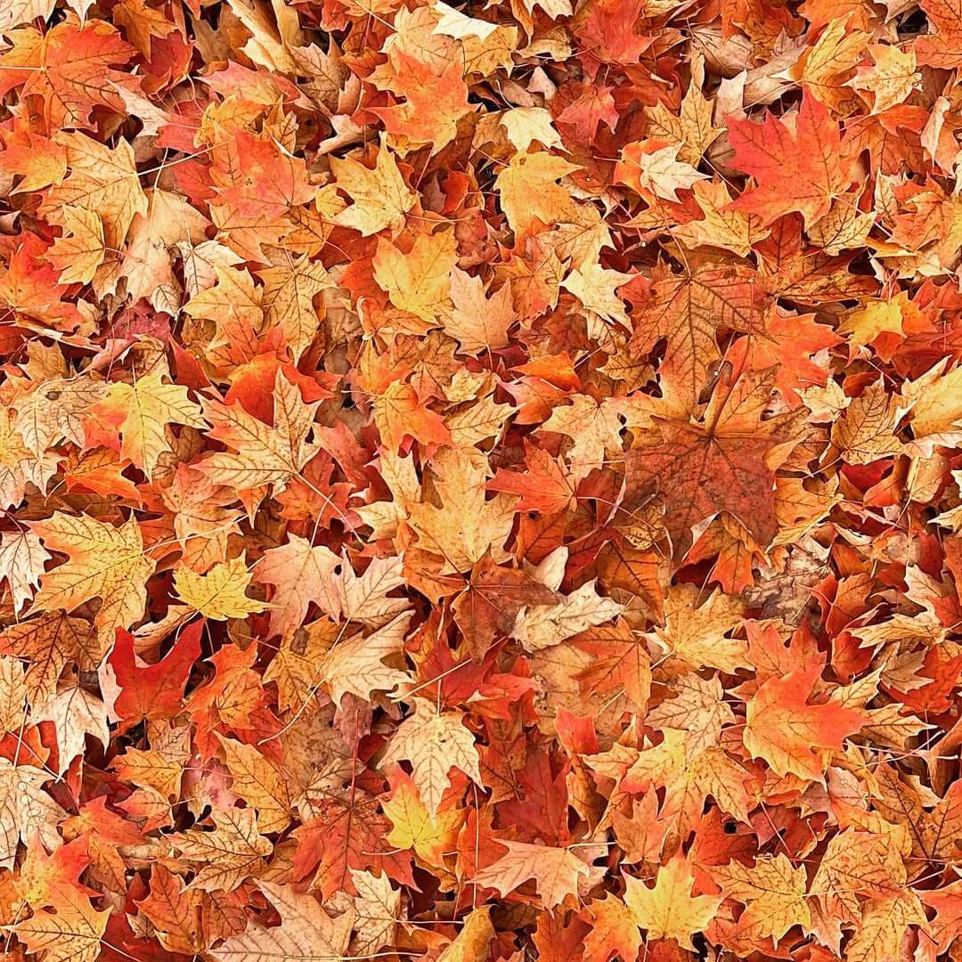 13 Best Places to Stay in Vermont in the Fall - From Farmhouses to ...
