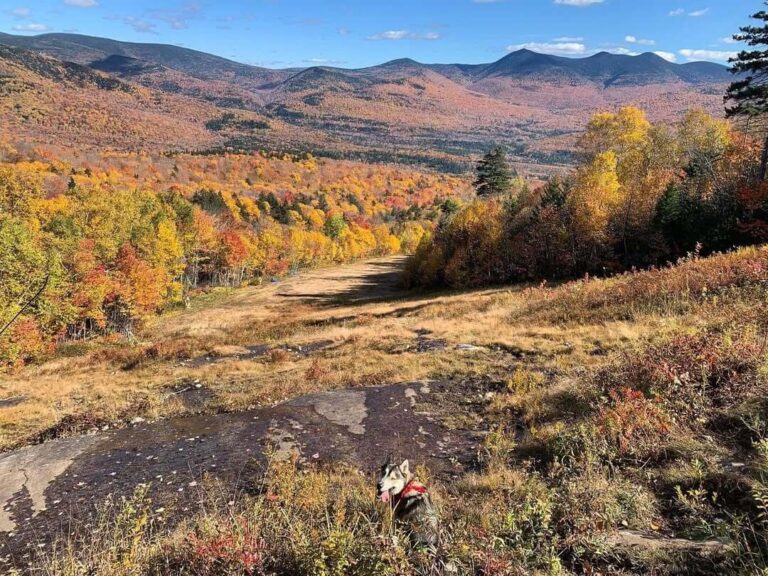 The 18 Best Places to See Fall Foliage in New England This Season