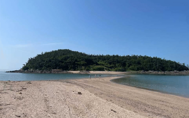 Every Year, the Sea Parts in South Korea That Opens Only Twice A Year ...