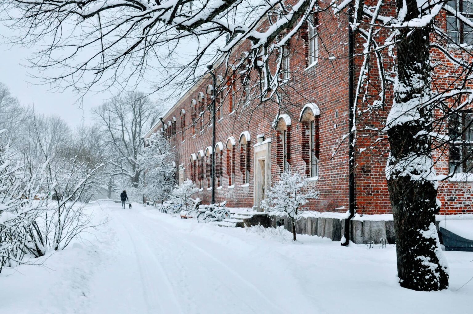 10 Things to Do in Helsinki Winter for First-time Visitors