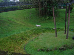 One Day in Hilo Hawaii Hilo Itinerary for a Perfect Island Day
