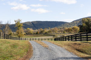 15 Lovely Small Towns in Virginia for a Perfect Getaway
