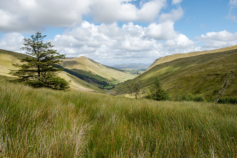 15 Dreamy Small Towns to Visit in Ireland This Year