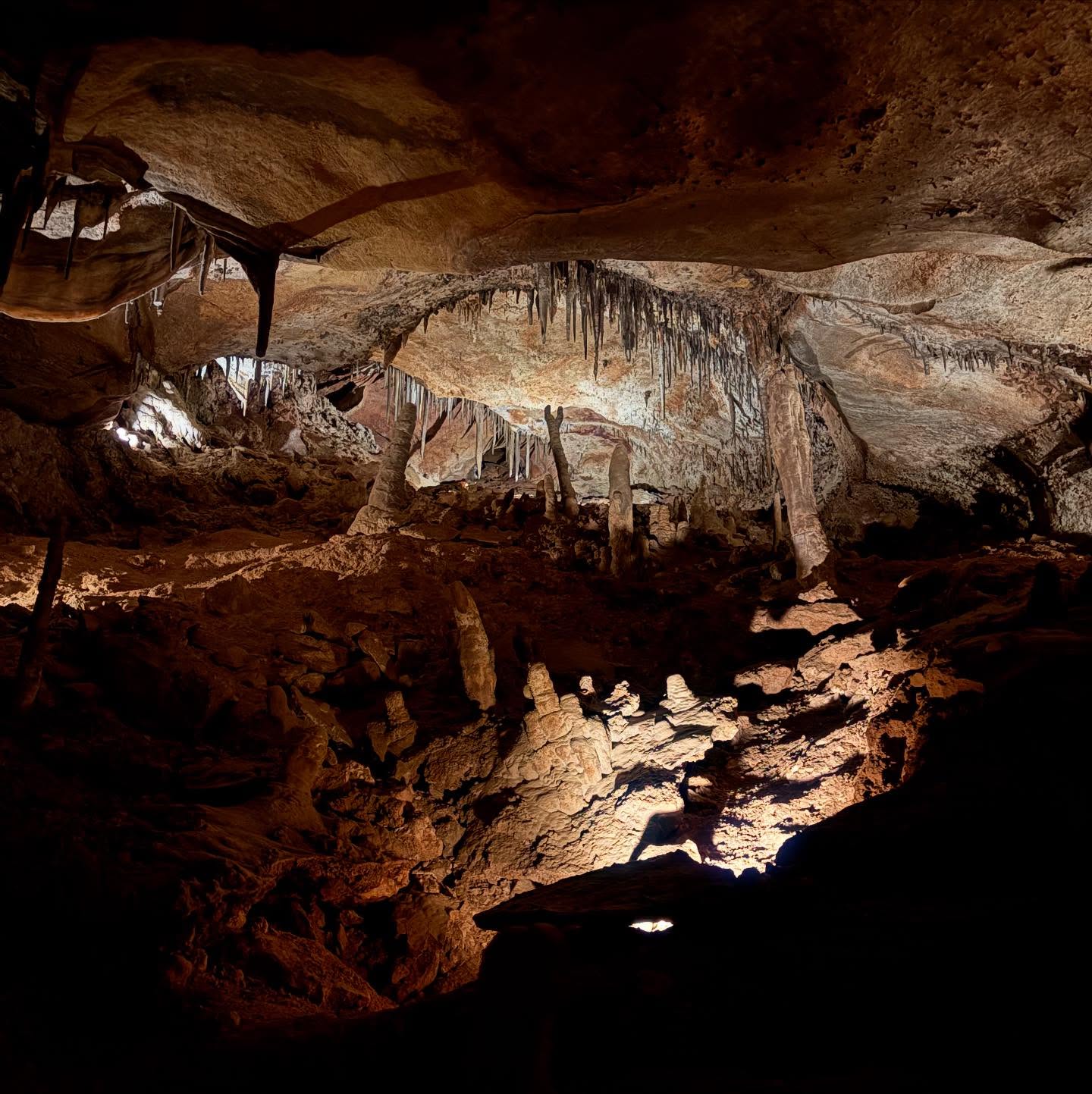 30 Best Things to Do in Colorado Springs with Kids