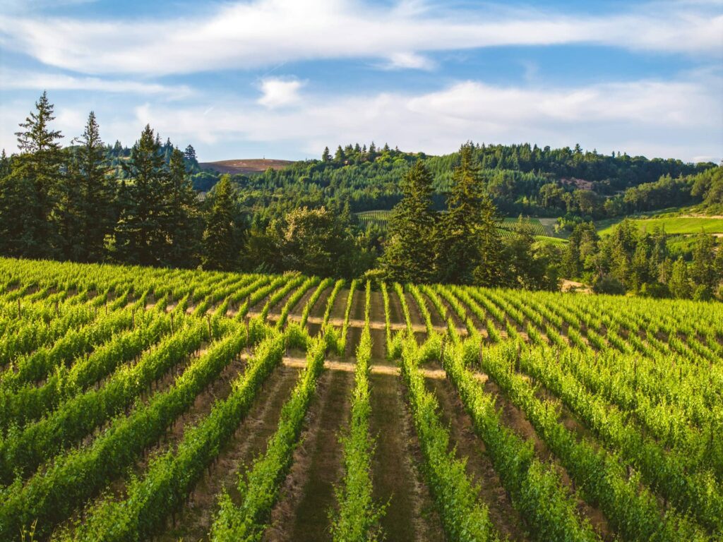 15 Scenic Small Towns in Oregon That Are Worth the Trip