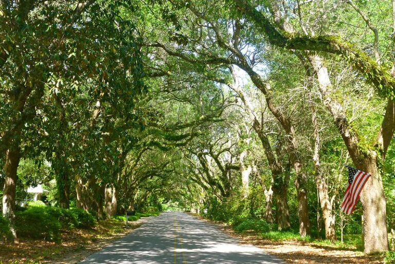 15 Delightful Small Towns in Alabama You’ll Love